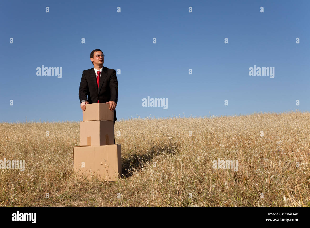 businessman with a stack of boxes at the field Stock Photo - Alamy