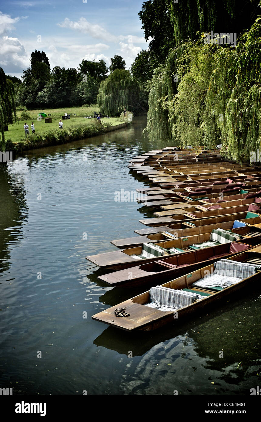 Punts on the river Cam in Cambridge England Stock Photo - Alamy