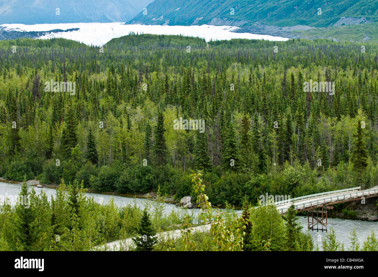 Alaska ice trees hi-res stock photography and images - Alamy