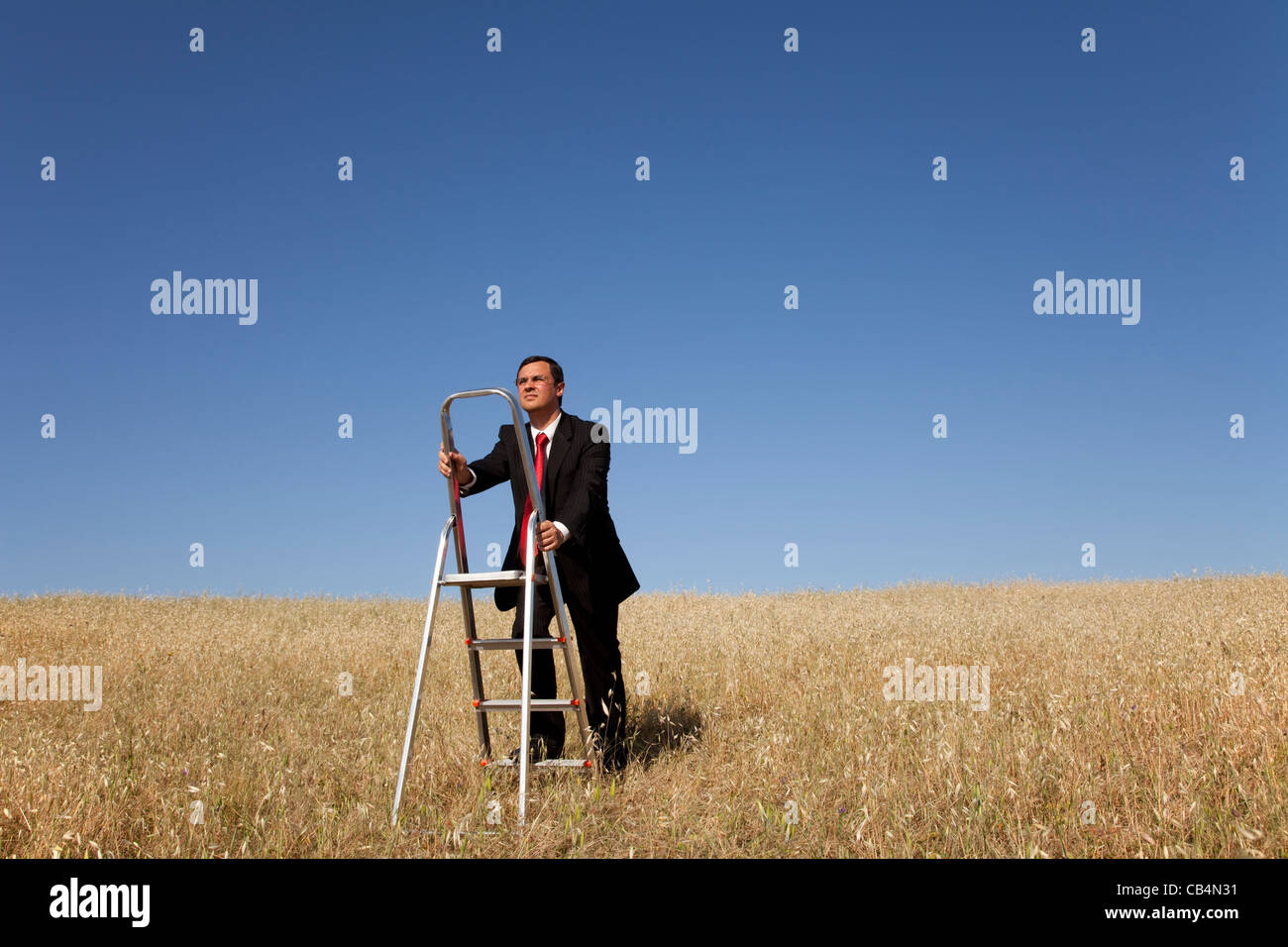 Step field hi-res stock photography and images - Alamy