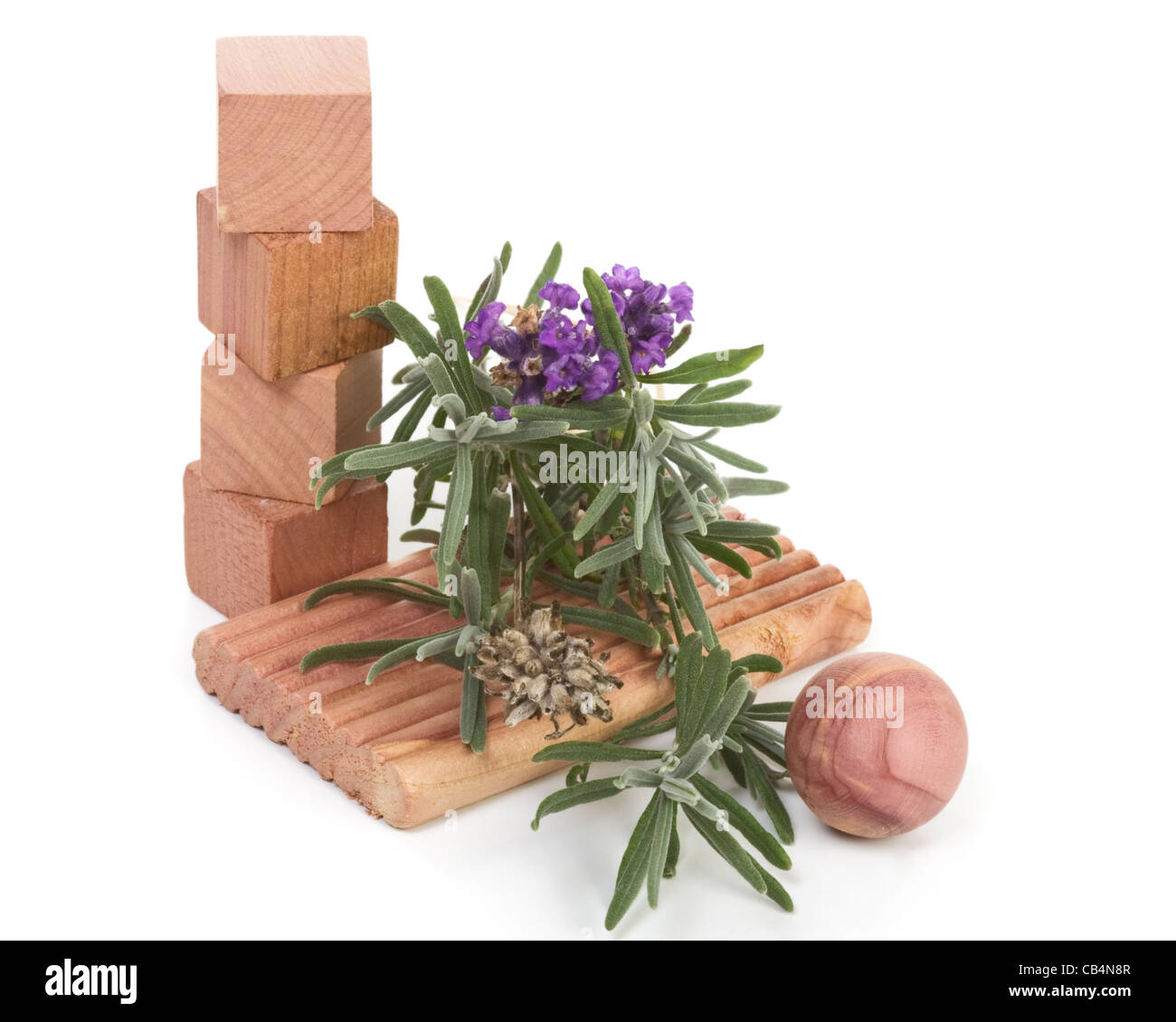 Fresh lavender, cedar moth blocks and ball on white Stock Photo - Alamy