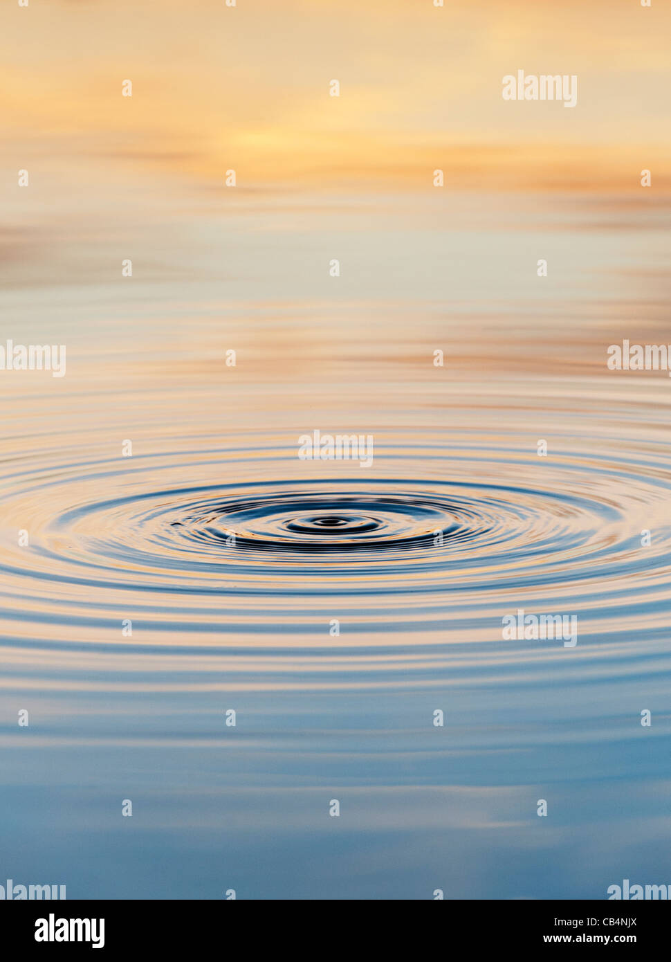 Golden Sunrise With Reflection Of The Sun In The Water High Resolution Stock Photography and ...