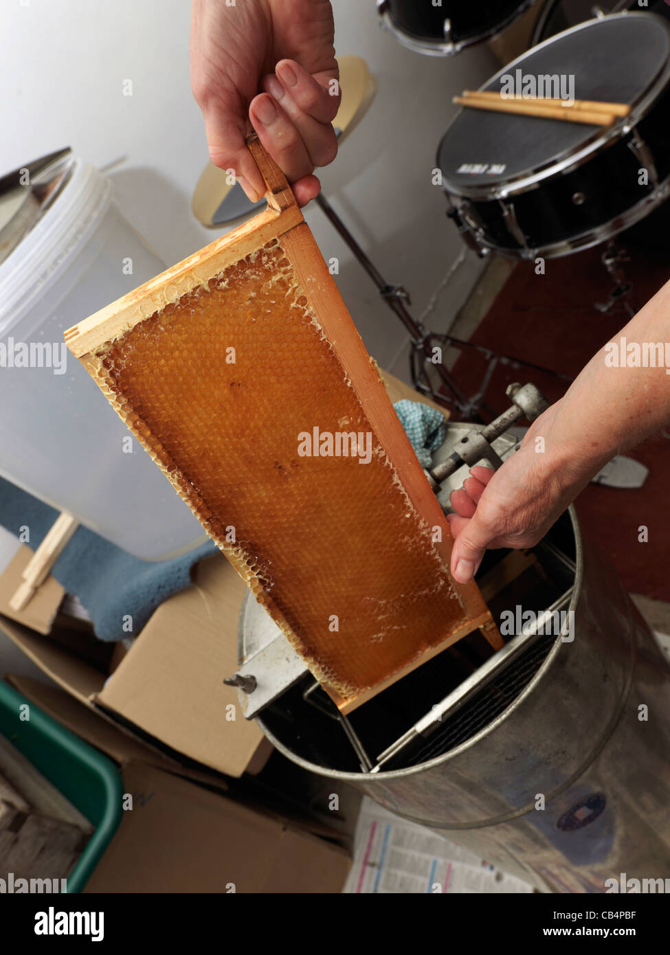 Placing full Frame of decapped honeycomb into the extractor Stock Photo ...