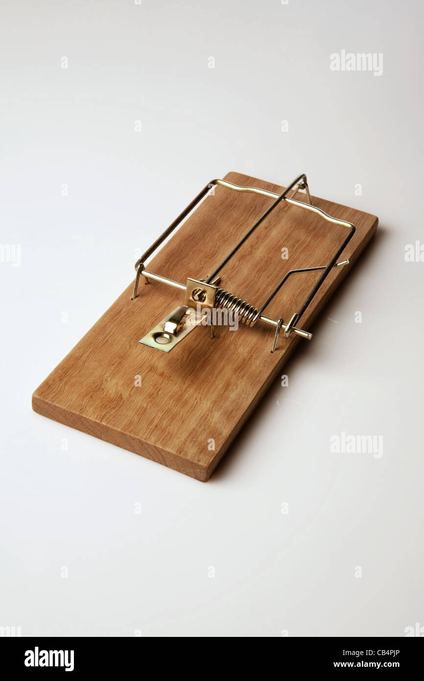 close up of mouse trap on plain white background Stock Photo - Alamy