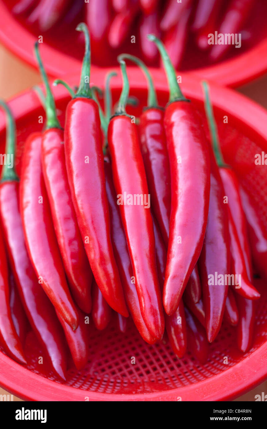 Neil pepper hi-res stock photography and images - Alamy