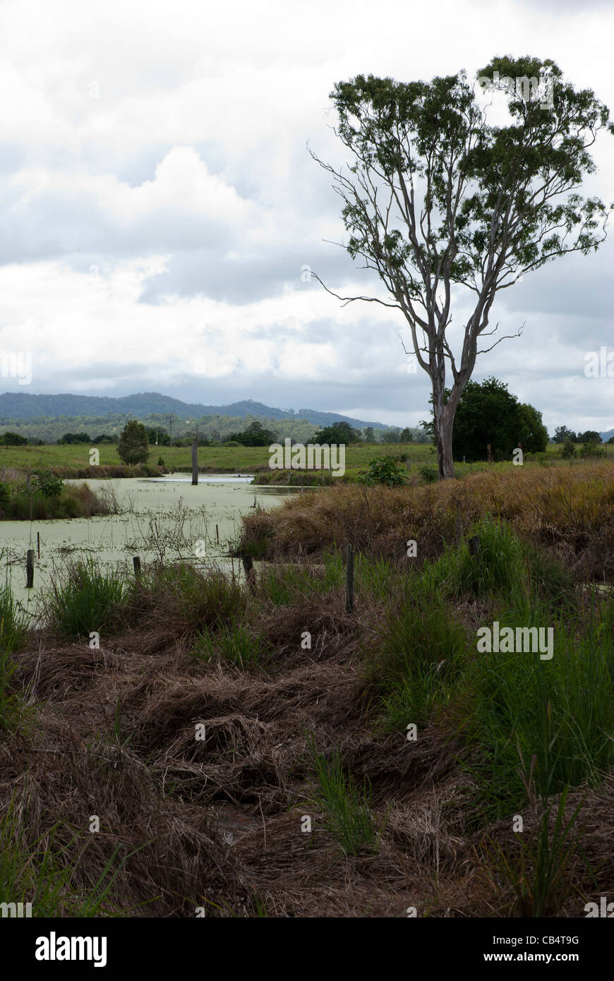 Maryborough queensland mary river hi-res stock photography and images ...