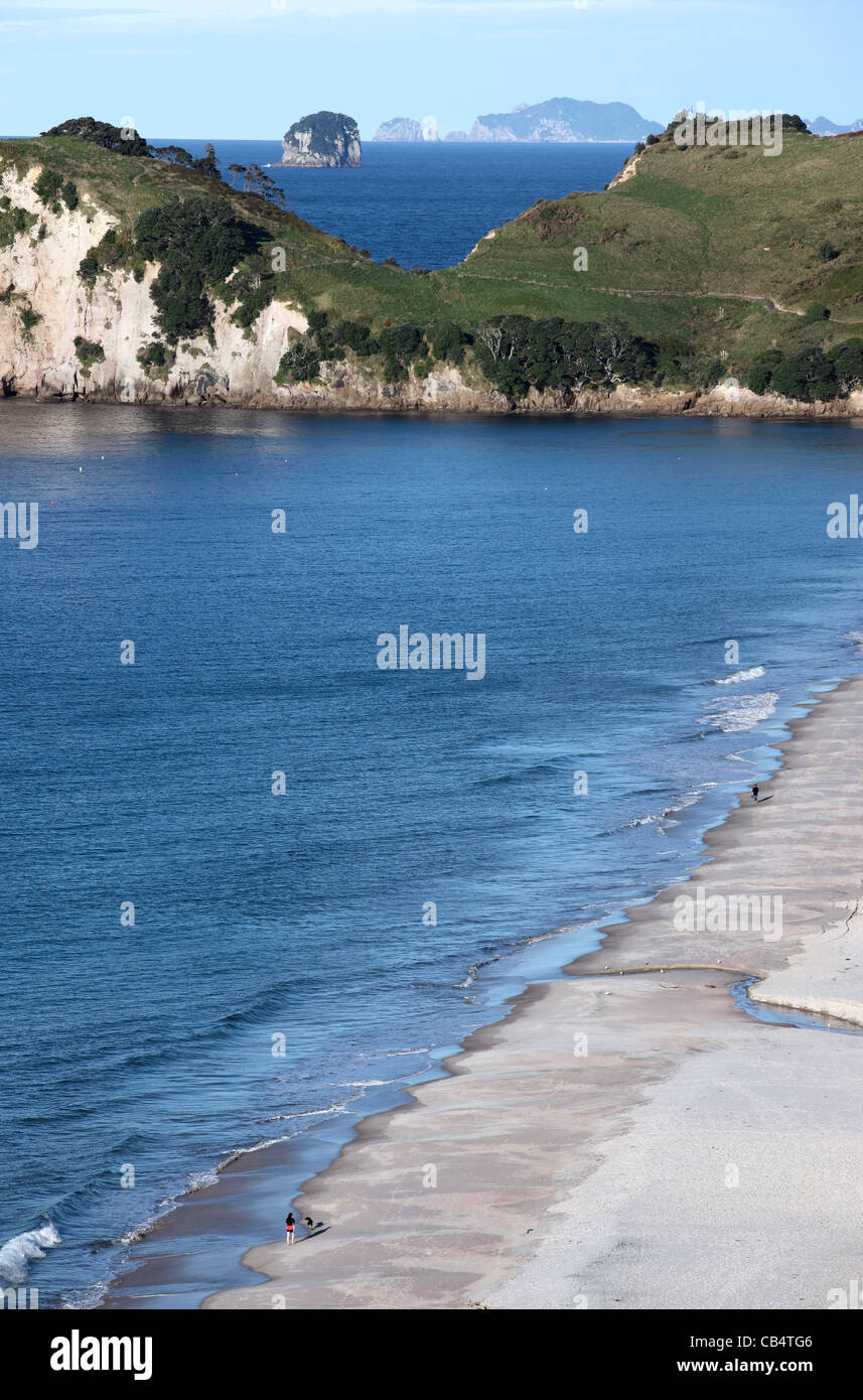 Hahei beach on the Coromandel Peninsula, New Zealand Stock Photo - Alamy