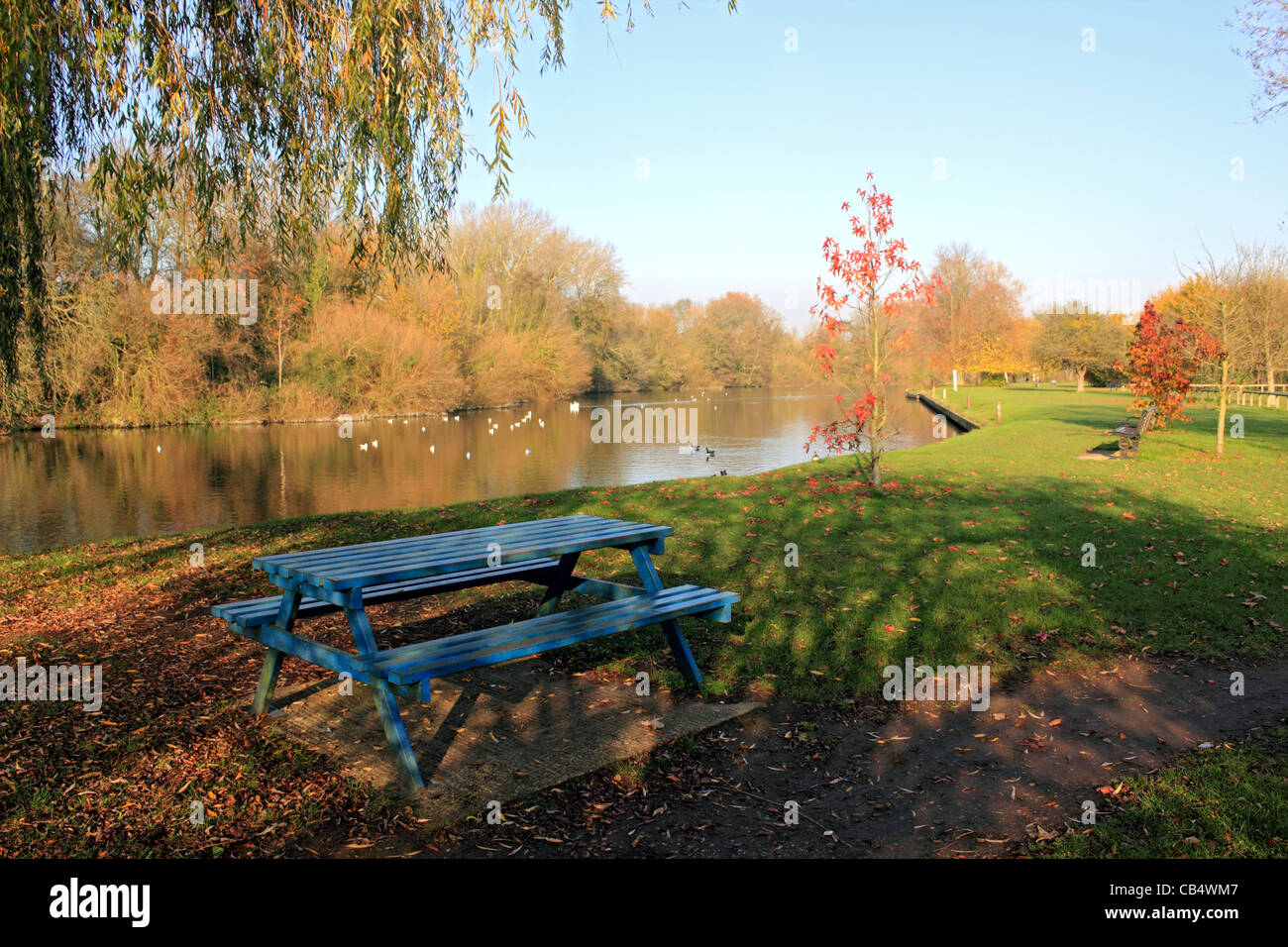 The River Thames at Runnymede England UK Stock Photo - Alamy