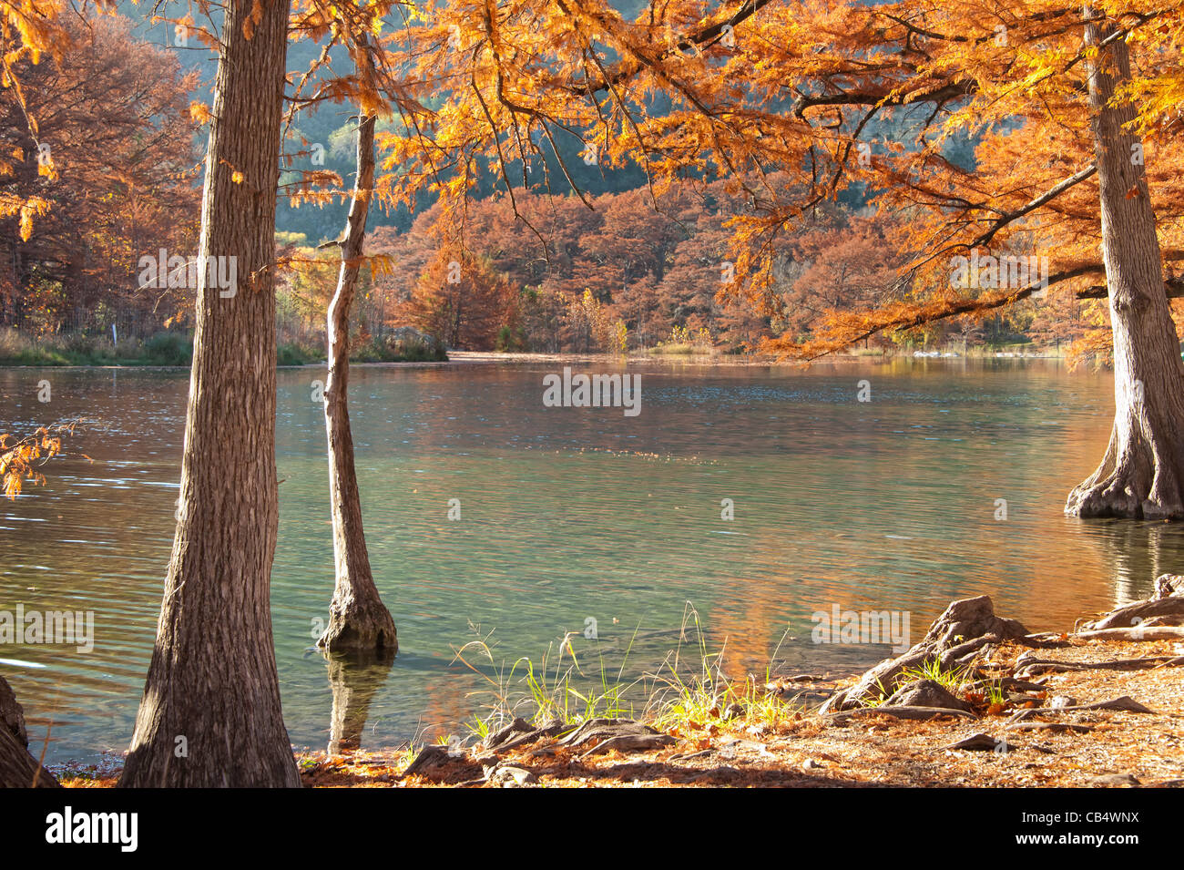 Indian summer fall colors hi-res stock photography and images - Alamy