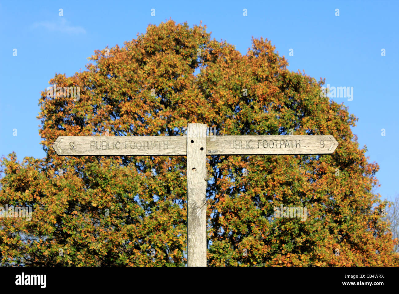 Public footpath sign post at Runnymede England UK Stock Photo - Alamy
