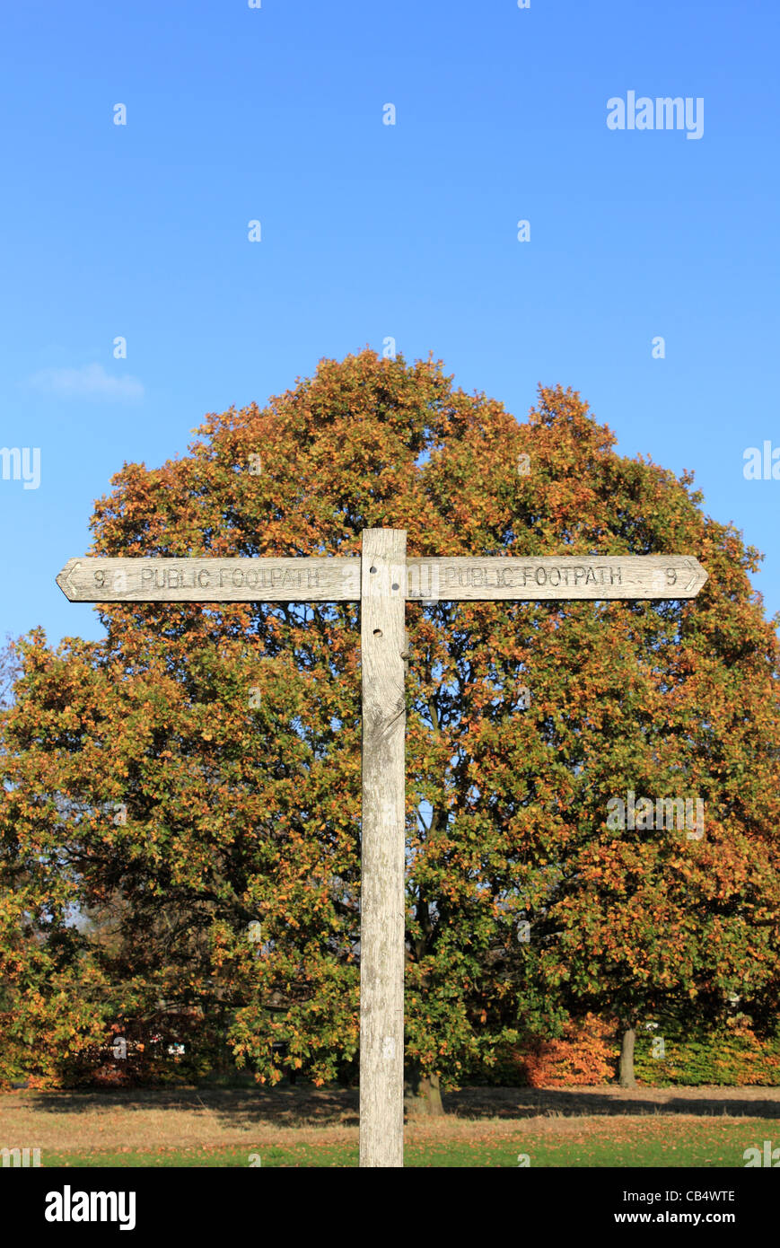 Public footpath sign post at Runnymede England UK Stock Photo - Alamy