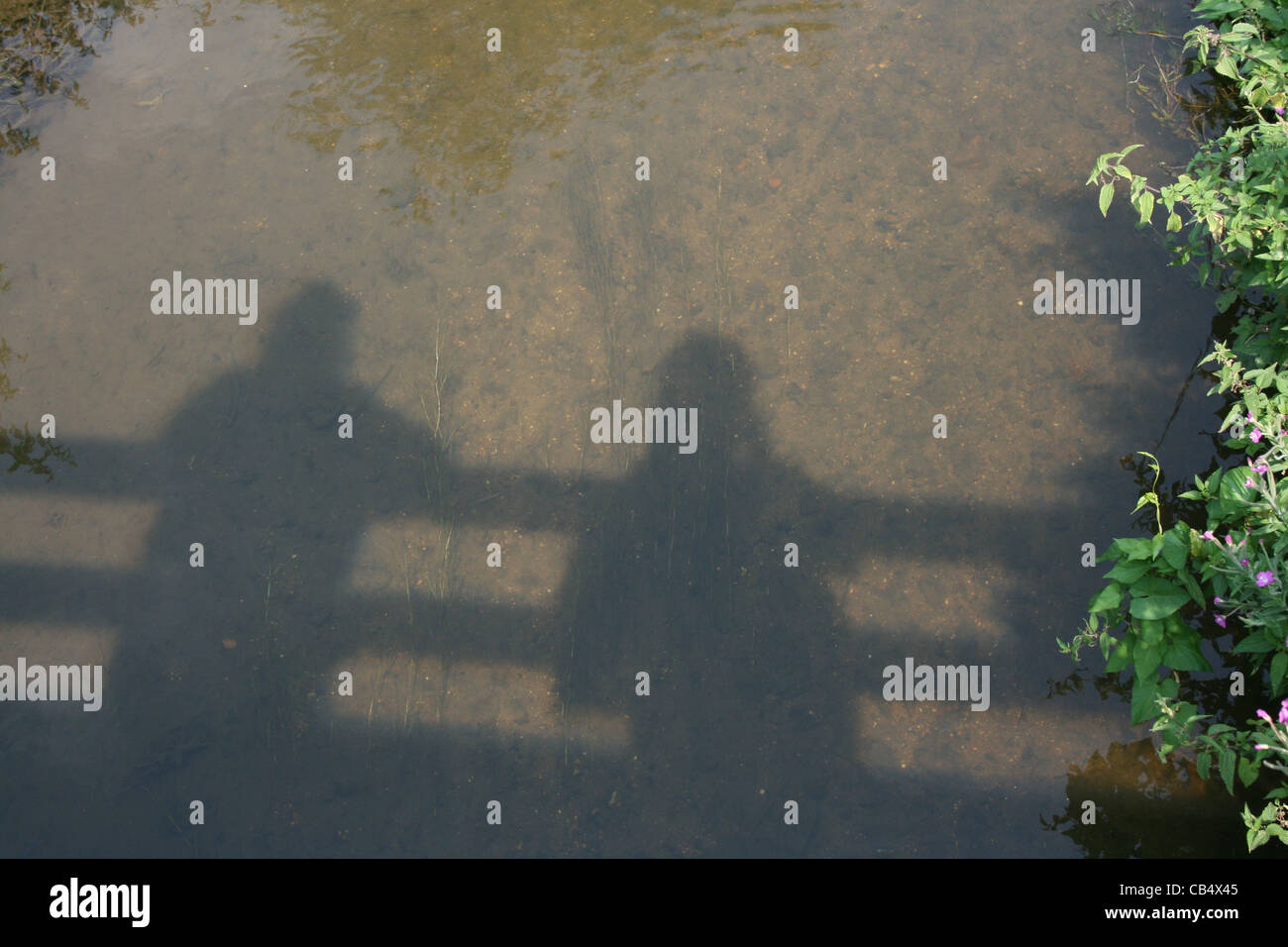 Stream reflecting two people and fence with wild flowers in the side ...