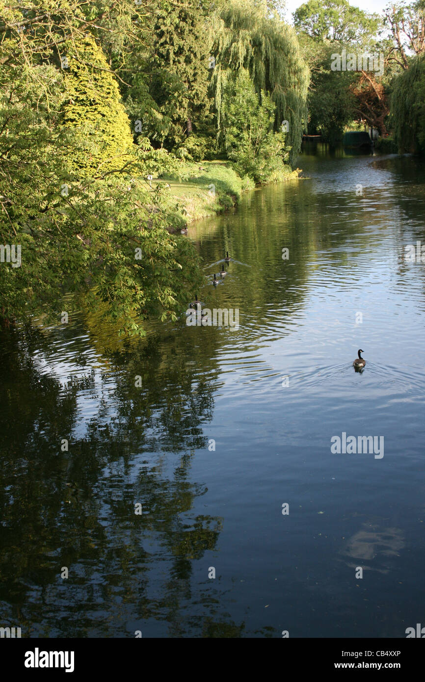 Hanging by the edge hi-res stock photography and images - Alamy