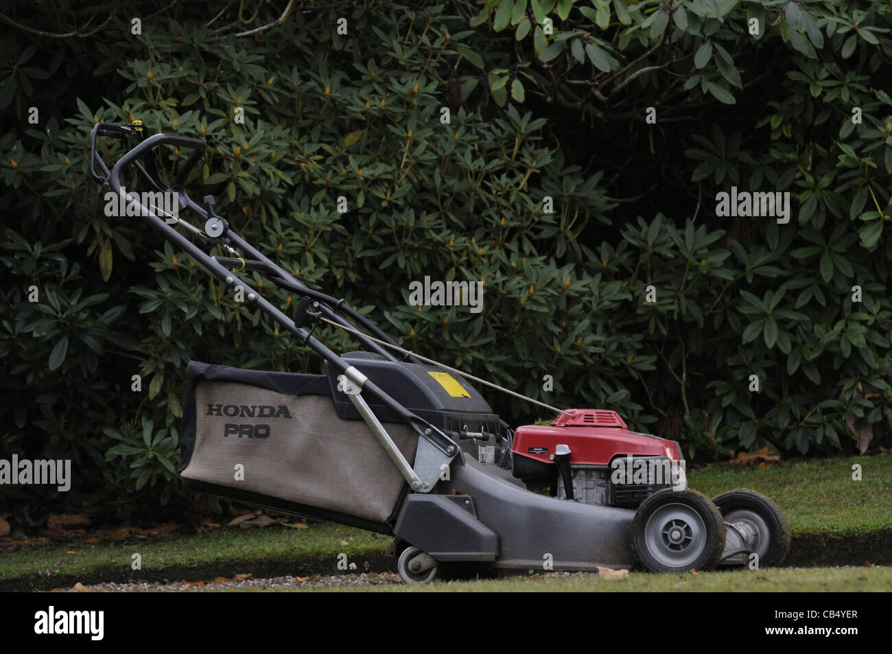 Motorised lawn mower Stock Photo - Alamy