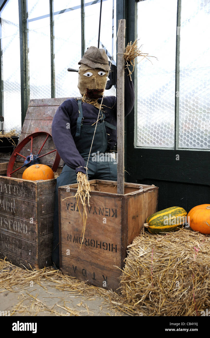 Skiffle hi-res stock photography and images - Alamy