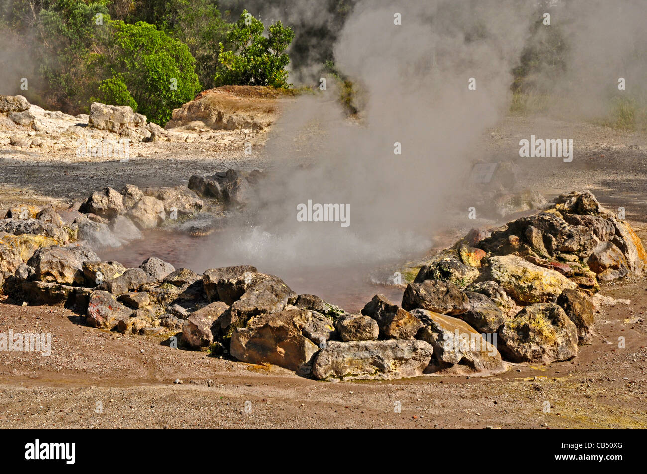 EUROPE PORTUGAL AZORES São Miguel Caldeiras steaming hot springs ...
