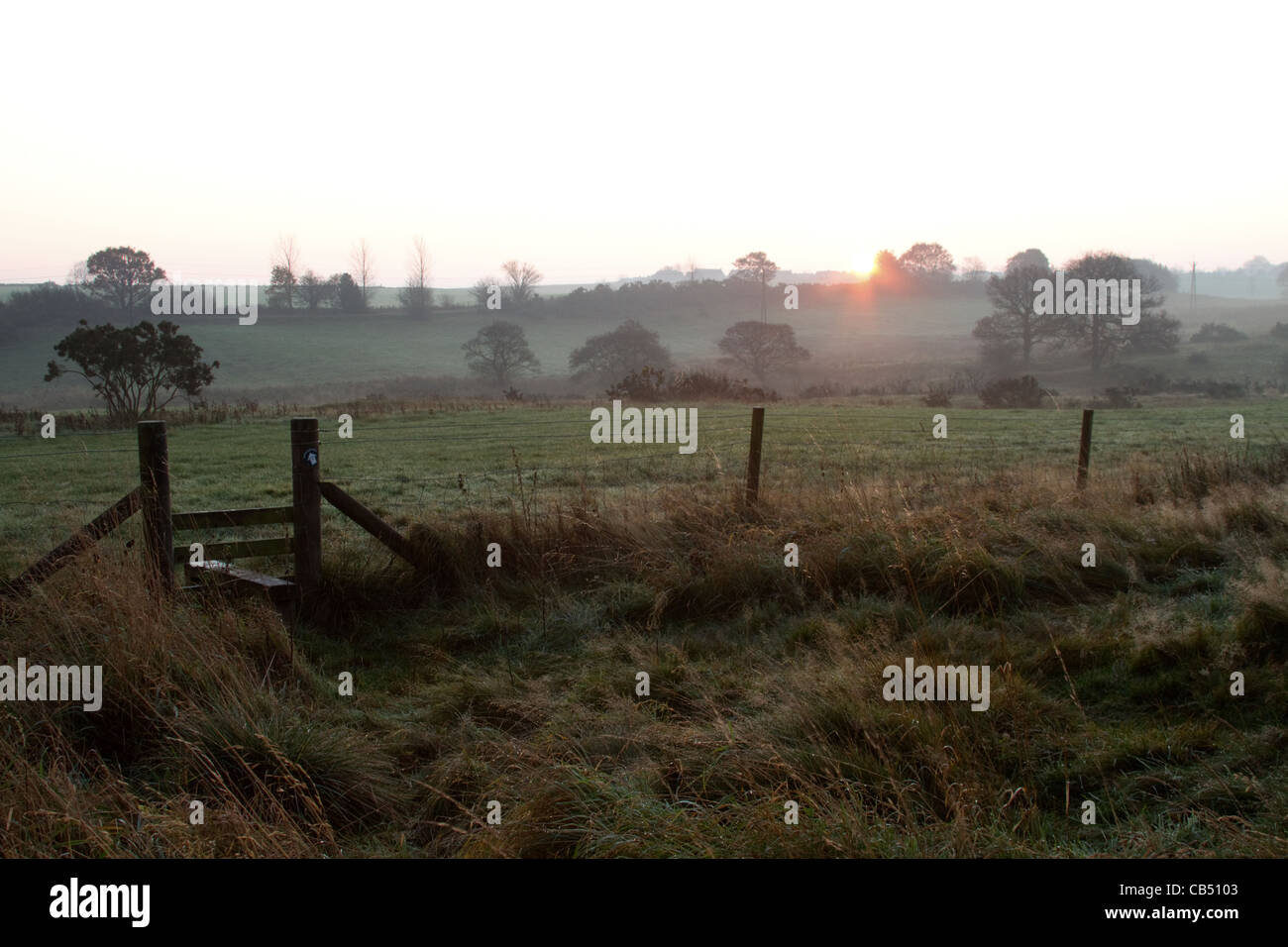 Sunrise over farmland Stock Photo - Alamy