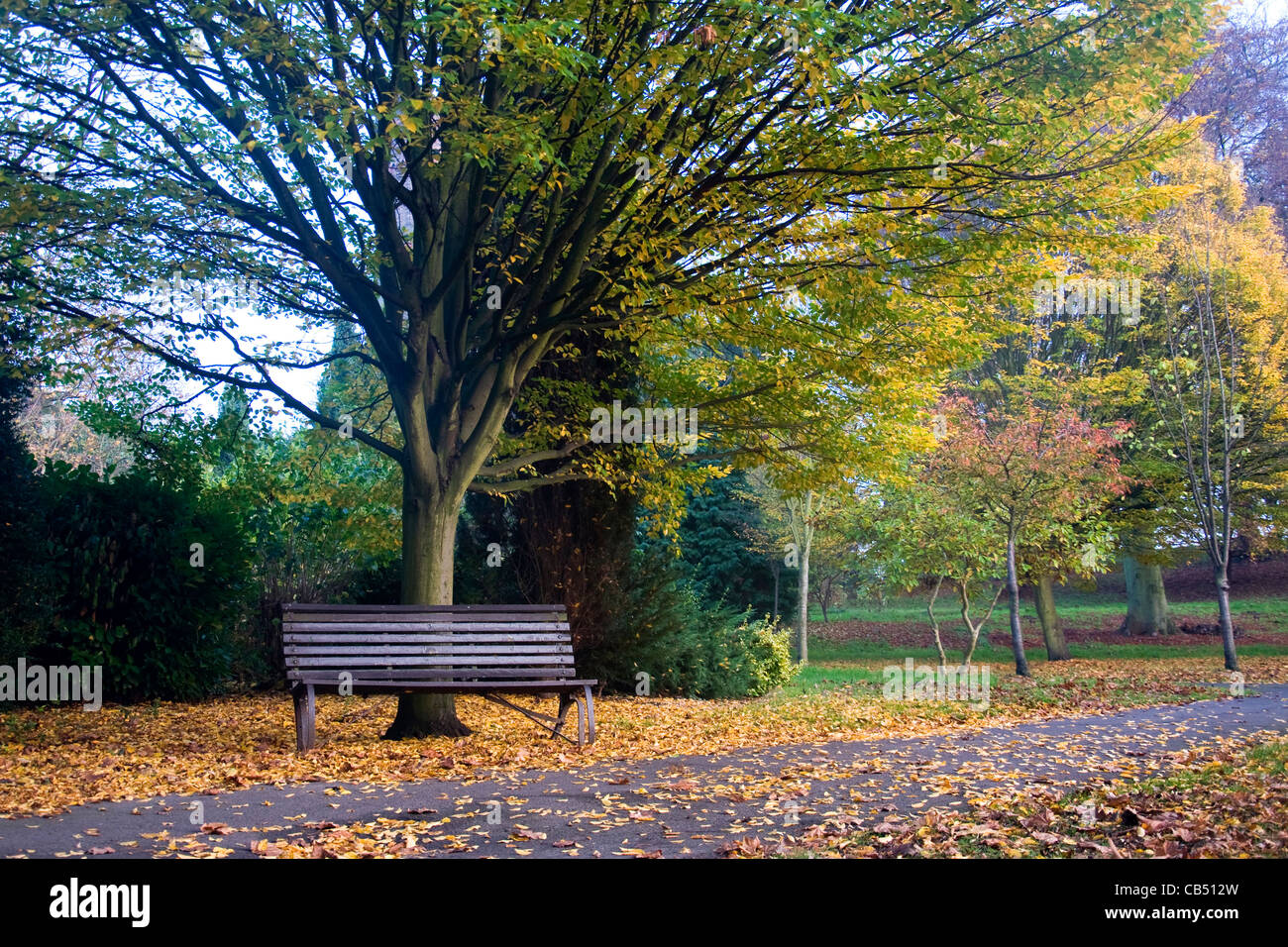 Autumn trees in Park Hill, Croydon Surrey, UK, Landscape image Stock ...