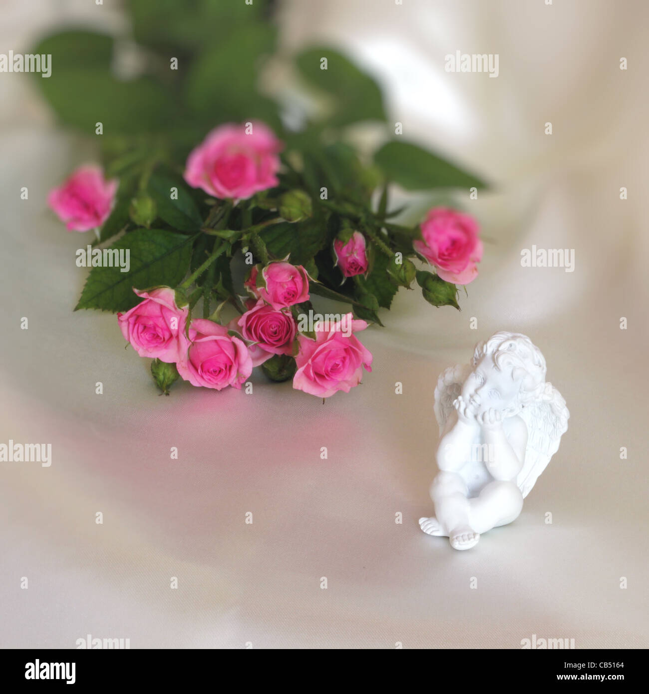 angel and rose on ivory silk Stock Photo - Alamy