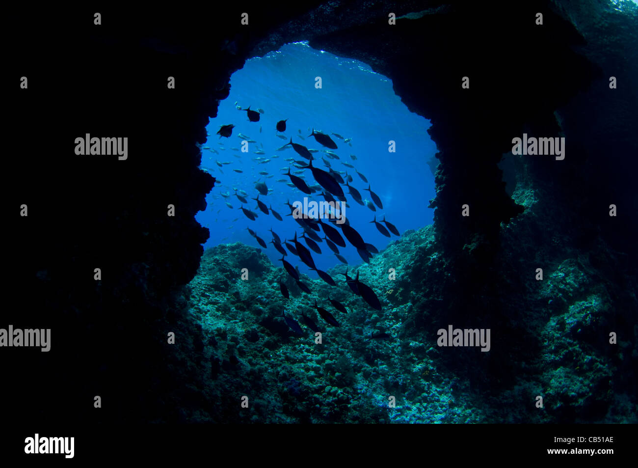 Boo Windows on Boo Island, Raja Ampat, West Papua, Indonesia, Pacific ...