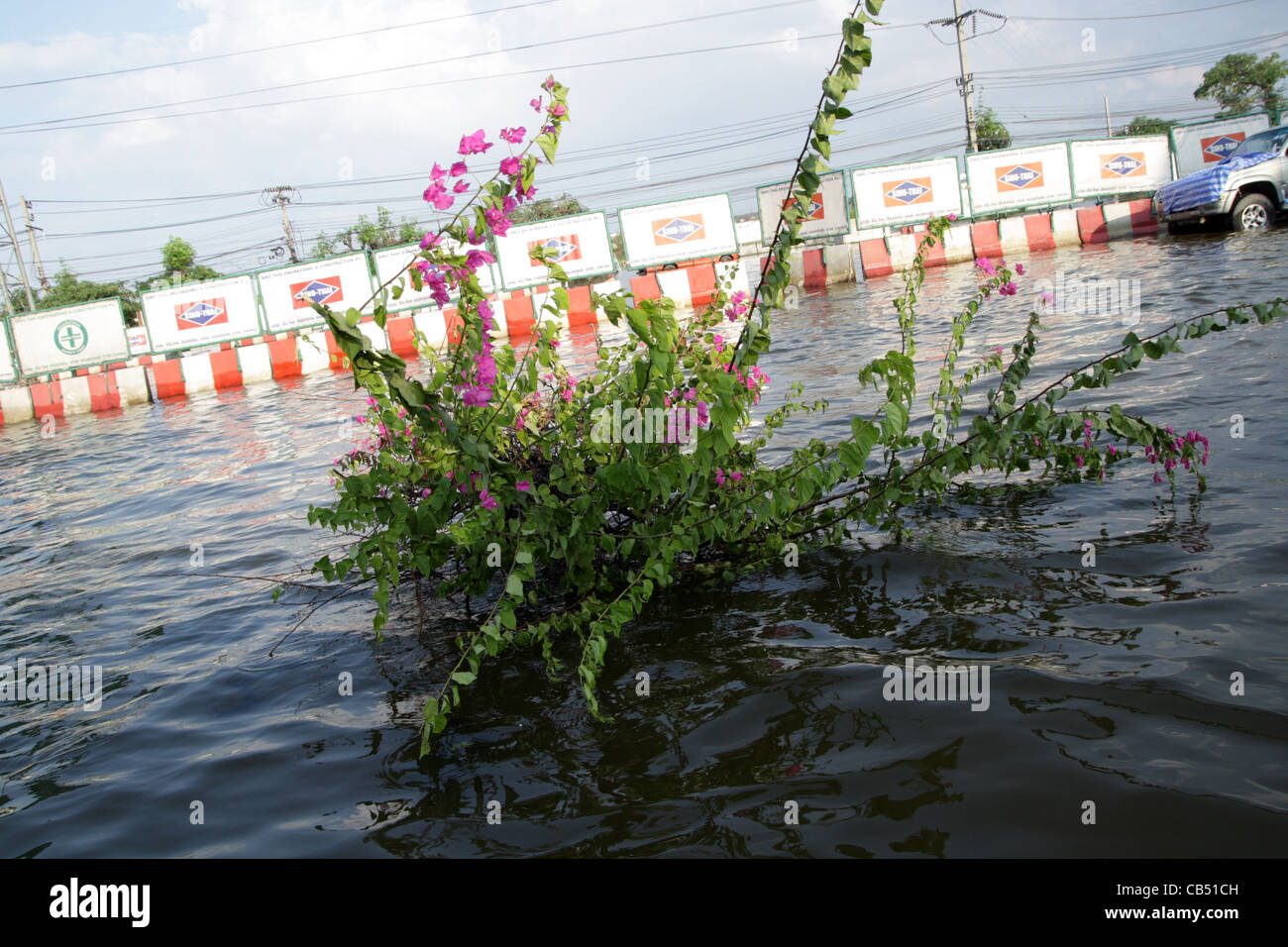 A plant inundated with foodwaters on street at Bang Yai District ...