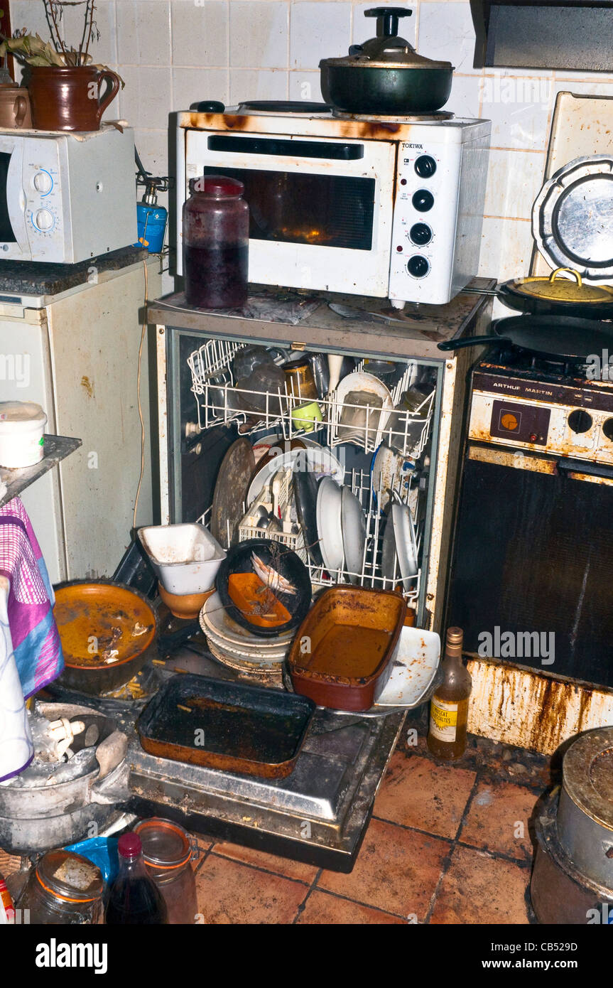Disgusting domestic slum living conditions - France Stock Photo - Alamy