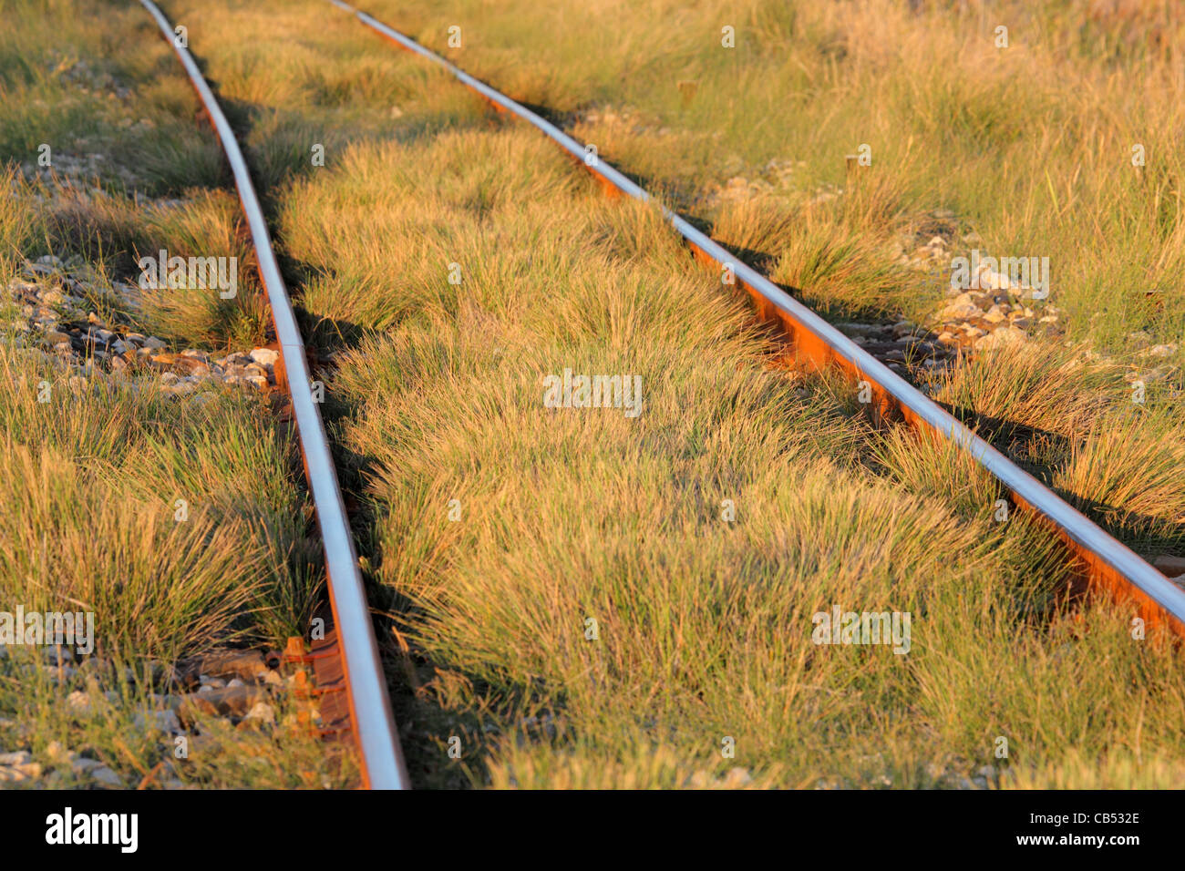 Railway track. Shallow depth of field Stock Photo - Alamy