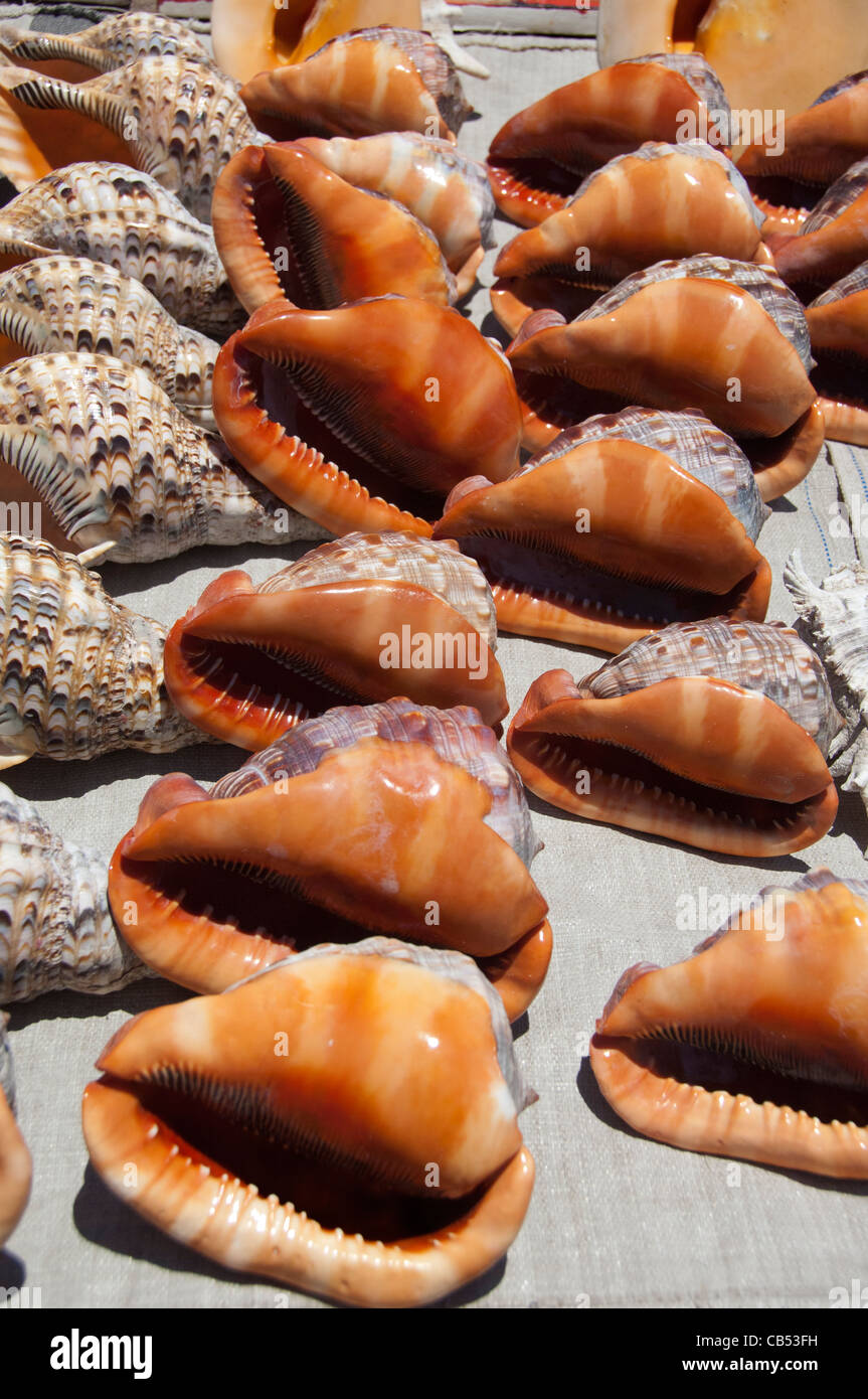Africa, Mozambique. Capital city of Maputo. Waterfront vendors selling ...
