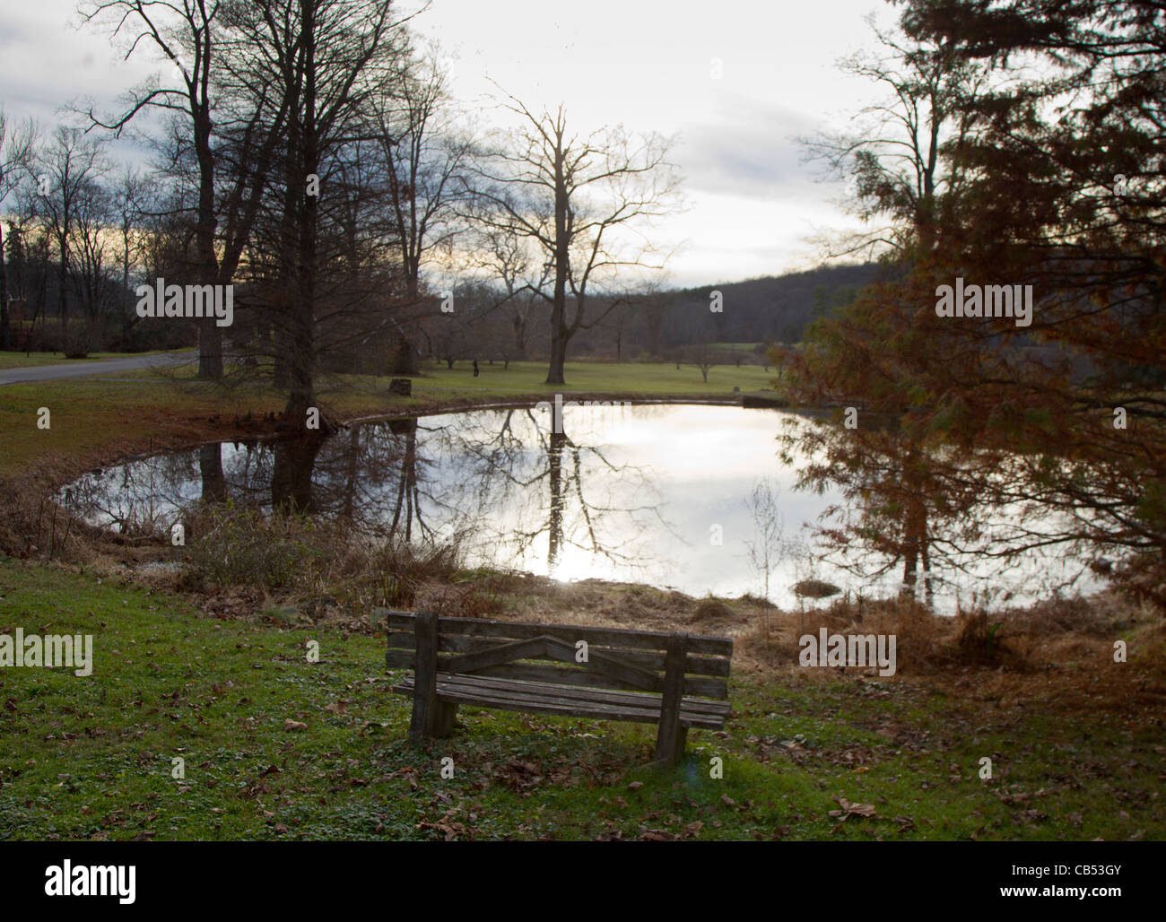 A bench beside a pond Stock Photo - Alamy