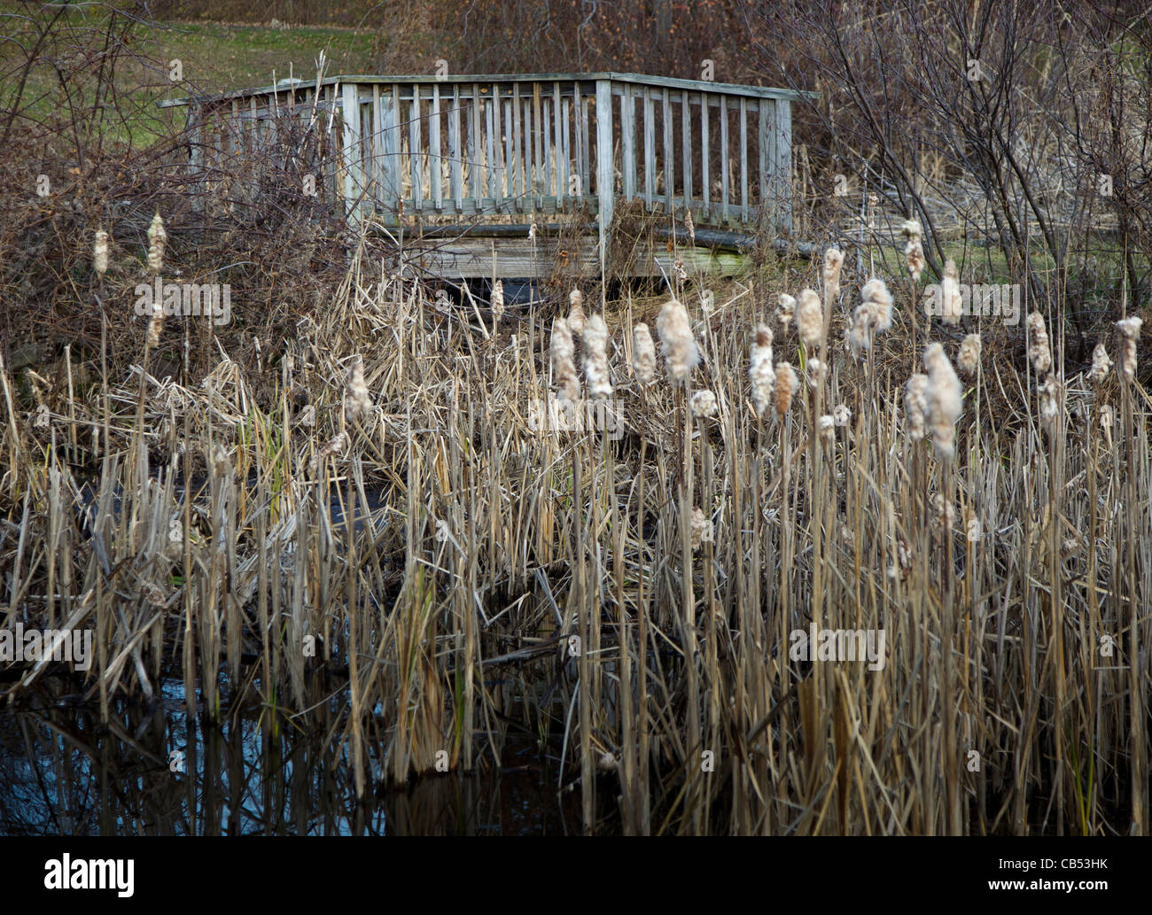 A rustic footbridge Stock Photo - Alamy