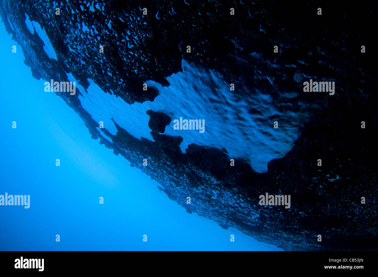 Water and bubbles trapped under an underwater ledge, Raja Ampat, West ...