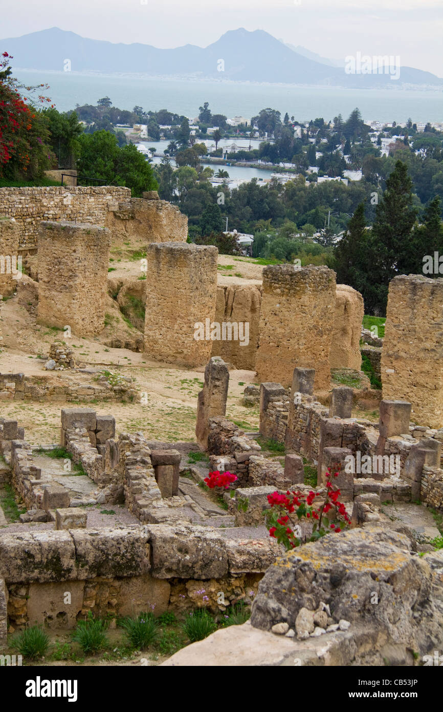 Ruins of Roman villas in Carthage near Tunis Tunisia Stock Photo - Alamy