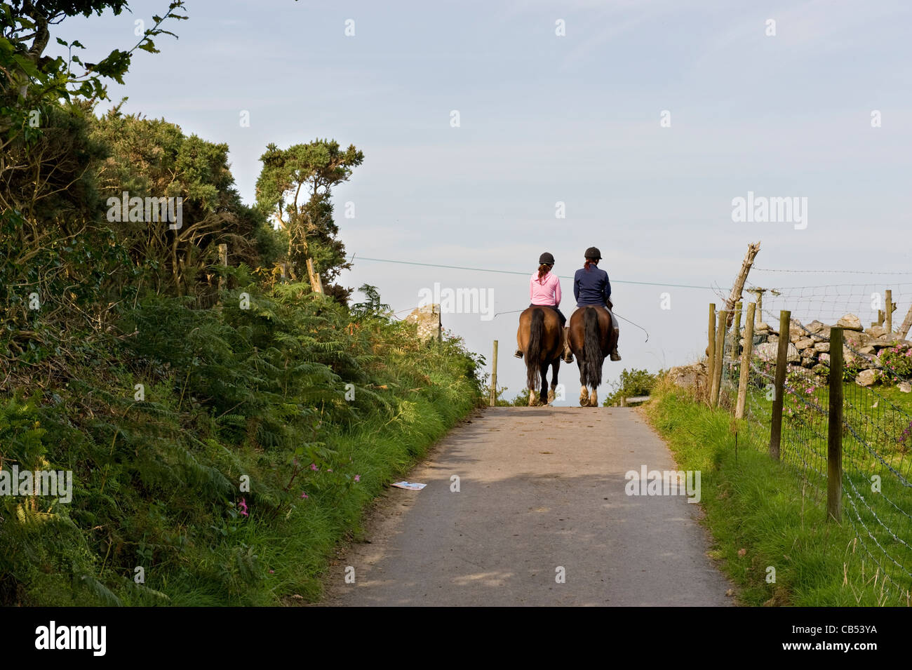 Horse riding in Snowdonia Stock Photo - Alamy