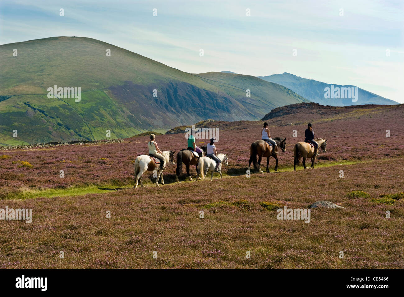 Snowdonia horse riding hi-res stock photography and images - Alamy