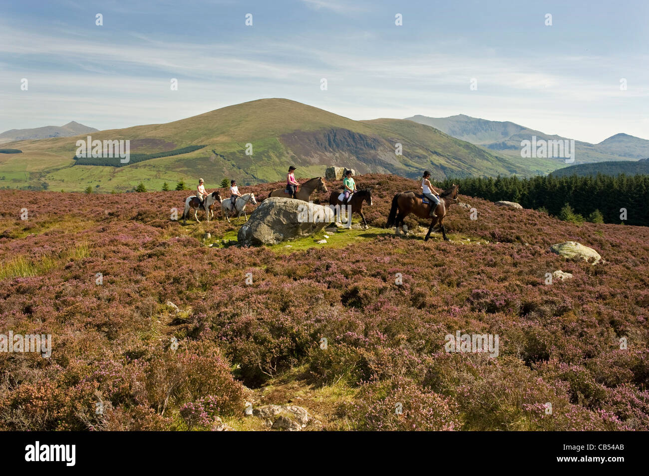 Snowdonia horse riding hi-res stock photography and images - Alamy