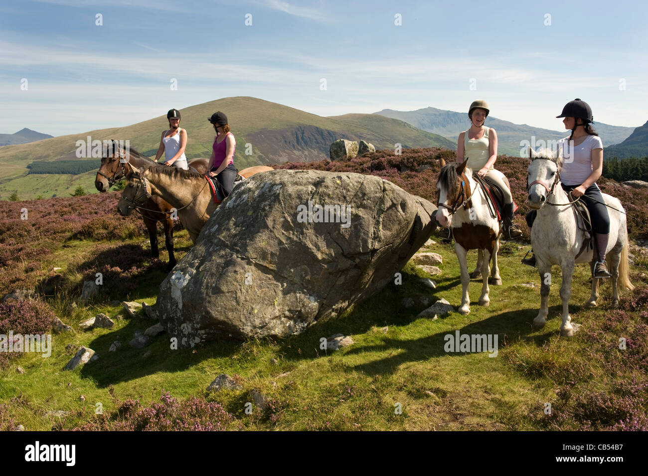Horse riding in Snowdonia Stock Photo - Alamy