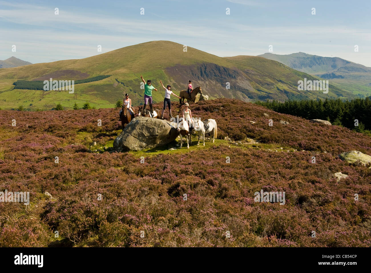 horse riding in Snowdonia Stock Photo - Alamy