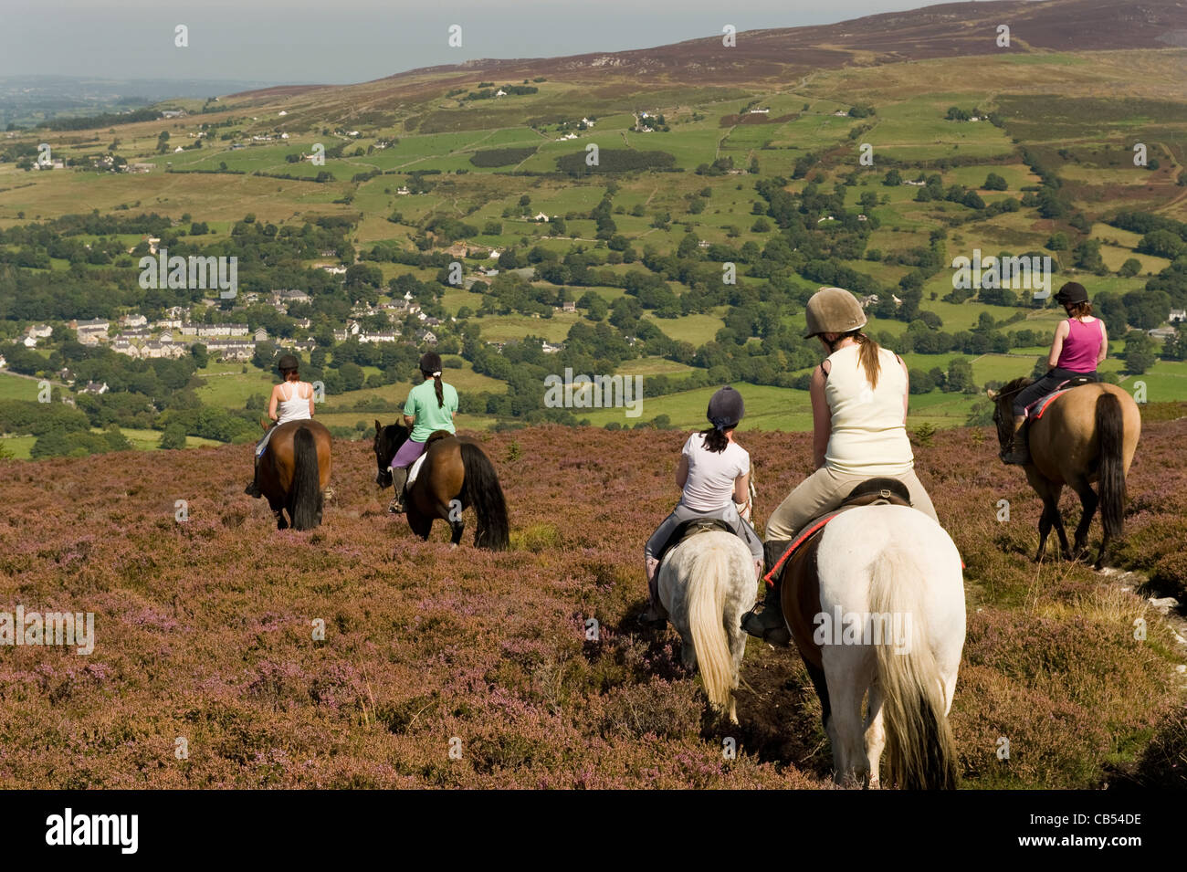 Horse riding in Snowdonia Stock Photo - Alamy