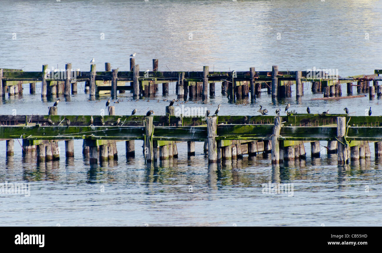 Old docks hi-res stock photography and images - Alamy