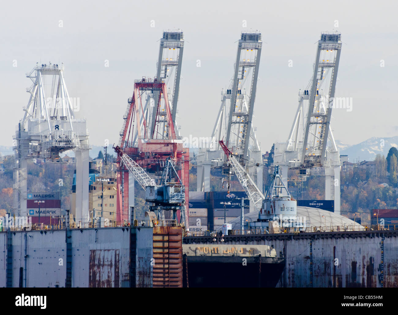 Port of Seattle Loading Cranes Stock Photo - Alamy
