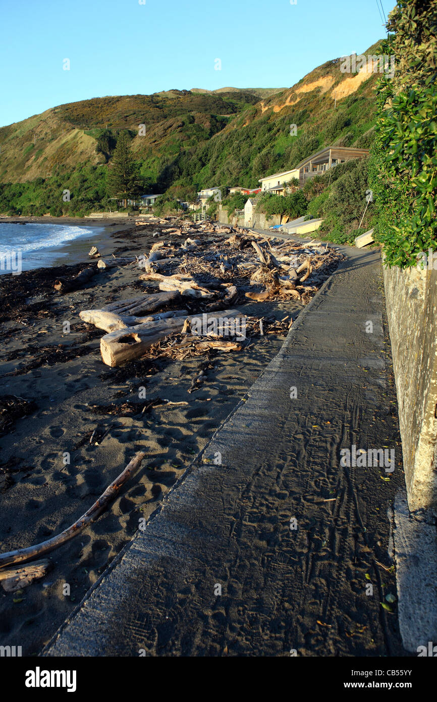 Pukerua Bay, the southern tip of the Kapiti Coast, New Zealand Stock ...