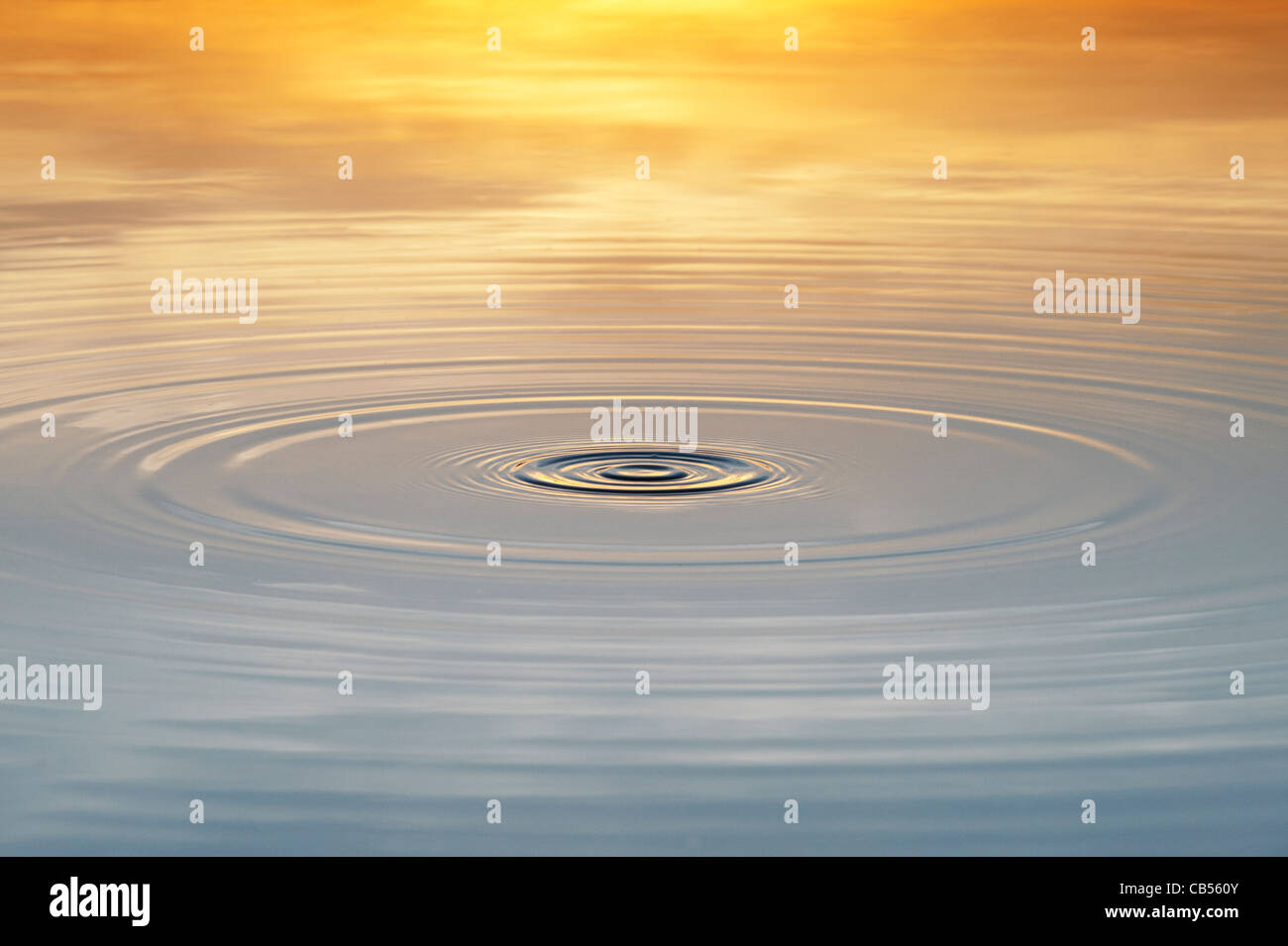 Water ripple hi-res stock photography and images - Alamy