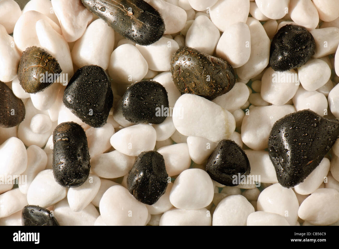 Pebbles in stream hi-res stock photography and images - Alamy