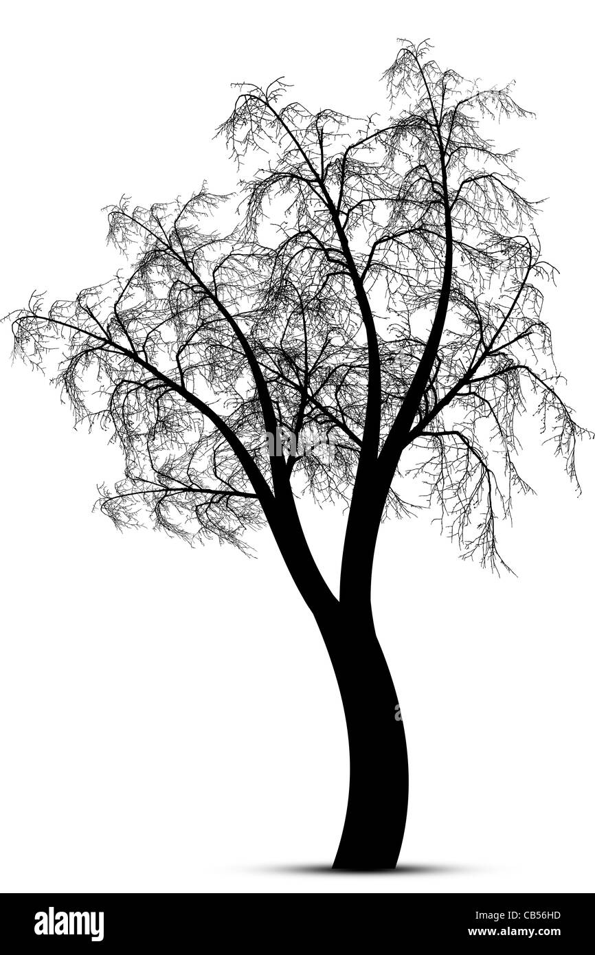 Abstract winter tree isolated on white background Stock Photo - Alamy