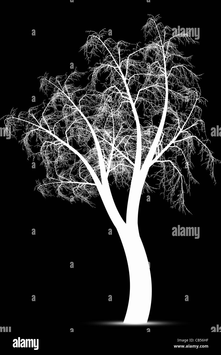 Abstract winter tree isolated on black background Stock Photo - Alamy