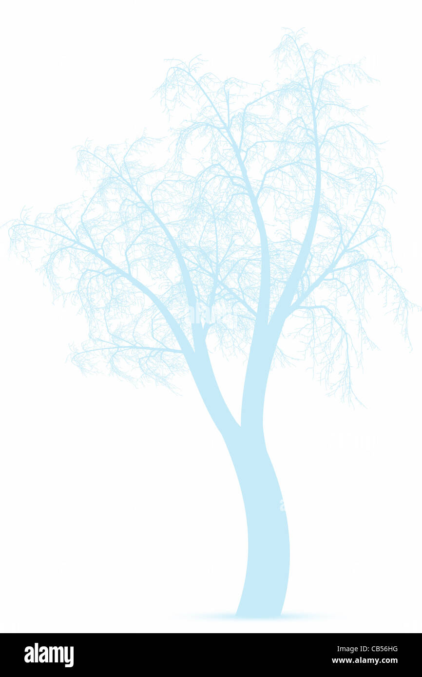 Abstract winter tree isolated on black background Stock Photo - Alamy