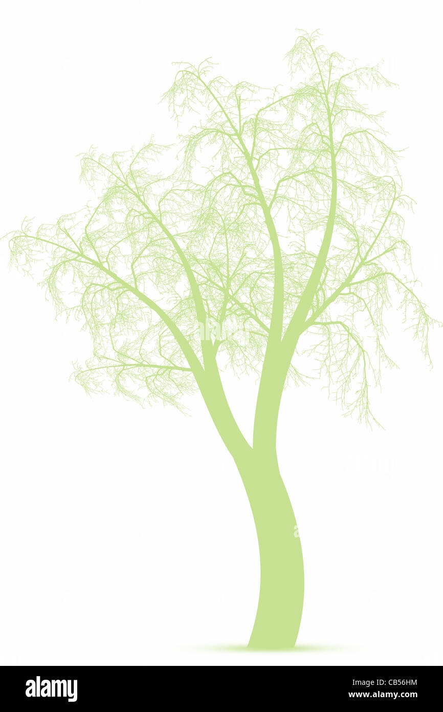 Abstract spring tree isolated on black background Stock Photo - Alamy