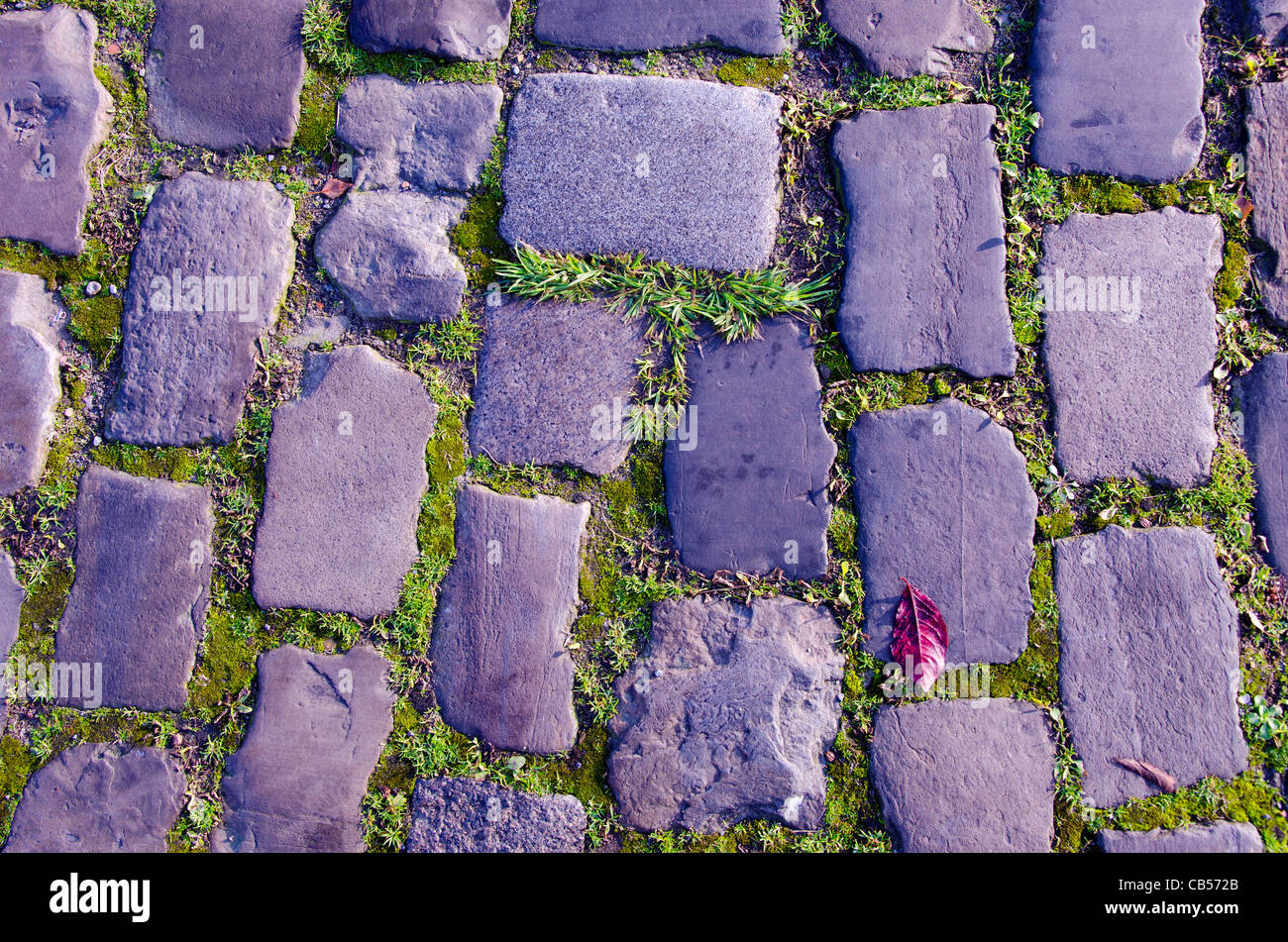 urban street bricks background and texture Stock Photo - Alamy