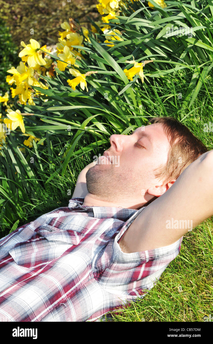 Pollen exposure hi-res stock photography and images - Alamy