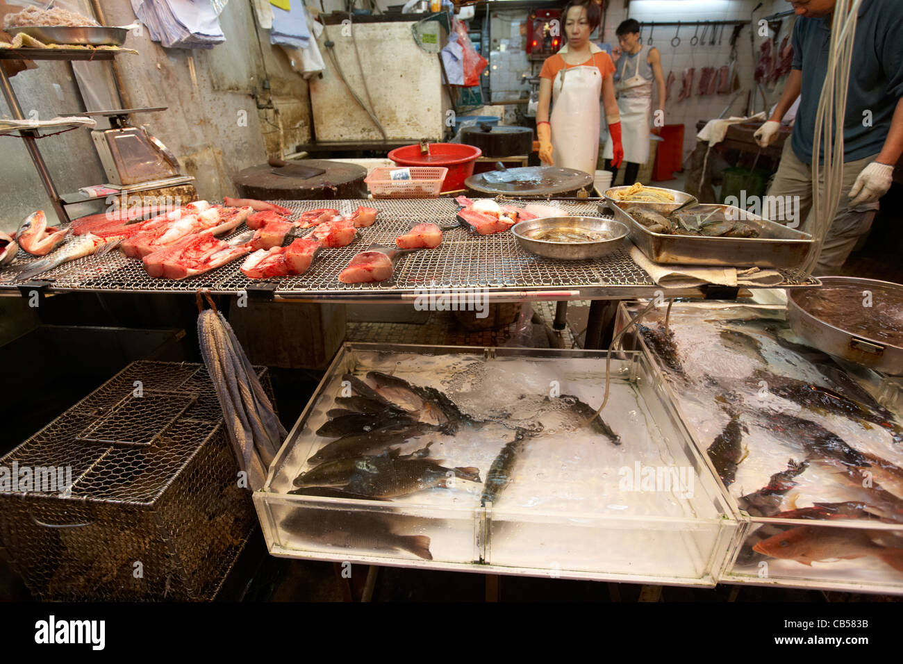 tanks of fish at a fresh fish seafood stall in an outdoor market in ...